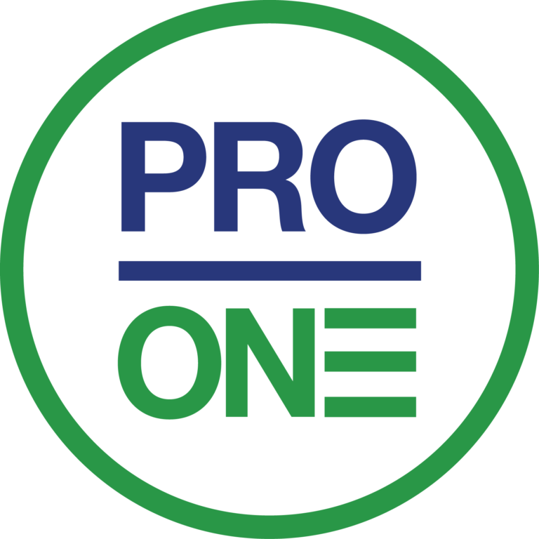 Professional One – HR services, specialized in IT skill, in Thailand