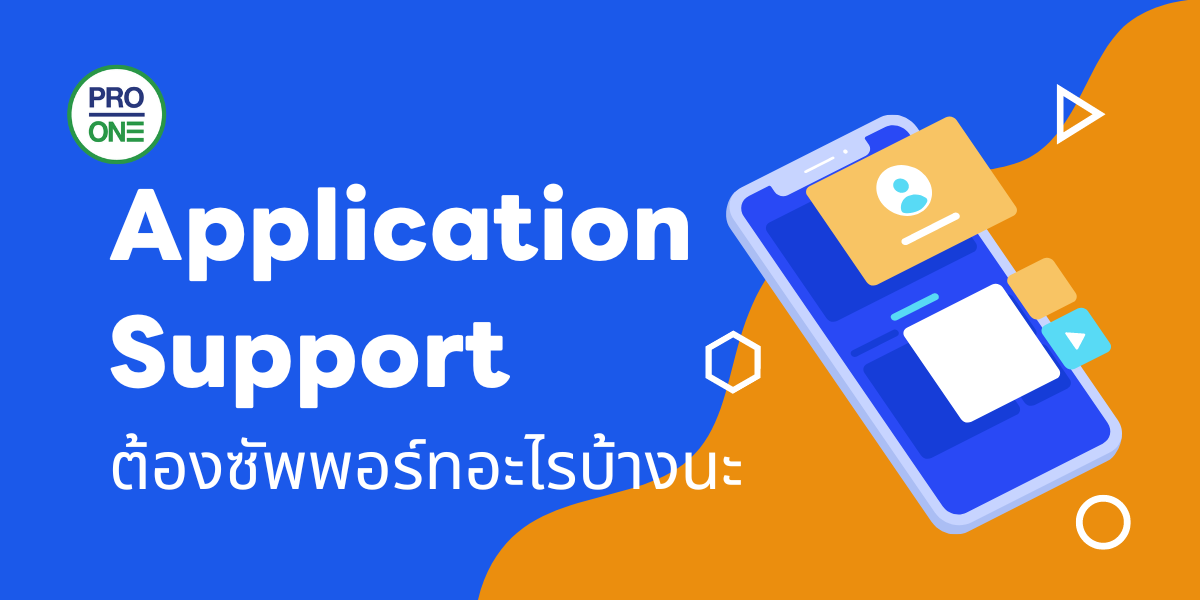 Application Support ซัพพอร์ทอะไรบ้างนะ – Professional One